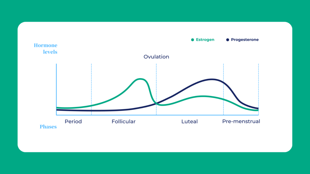 Dual Menstrual Cycle Chart Your Period Lasts Only Two Days. Should You
